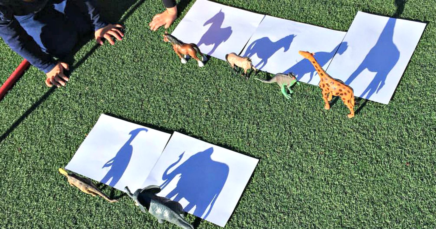 This Shadow Drawing Project Is Perfect For Entertaining Your Kids This ...