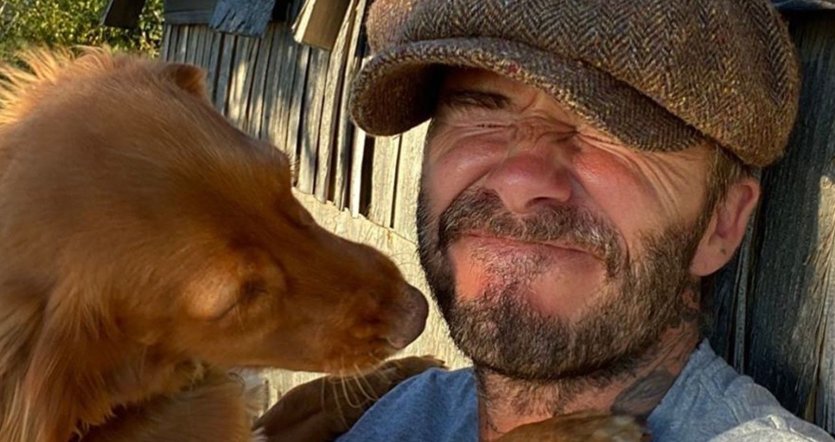 David Beckham Shows Off New Pet For International Dog Day