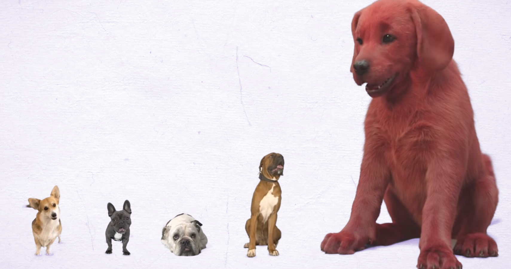 Live-Action 'Clifford The Big Red Dog' Movie