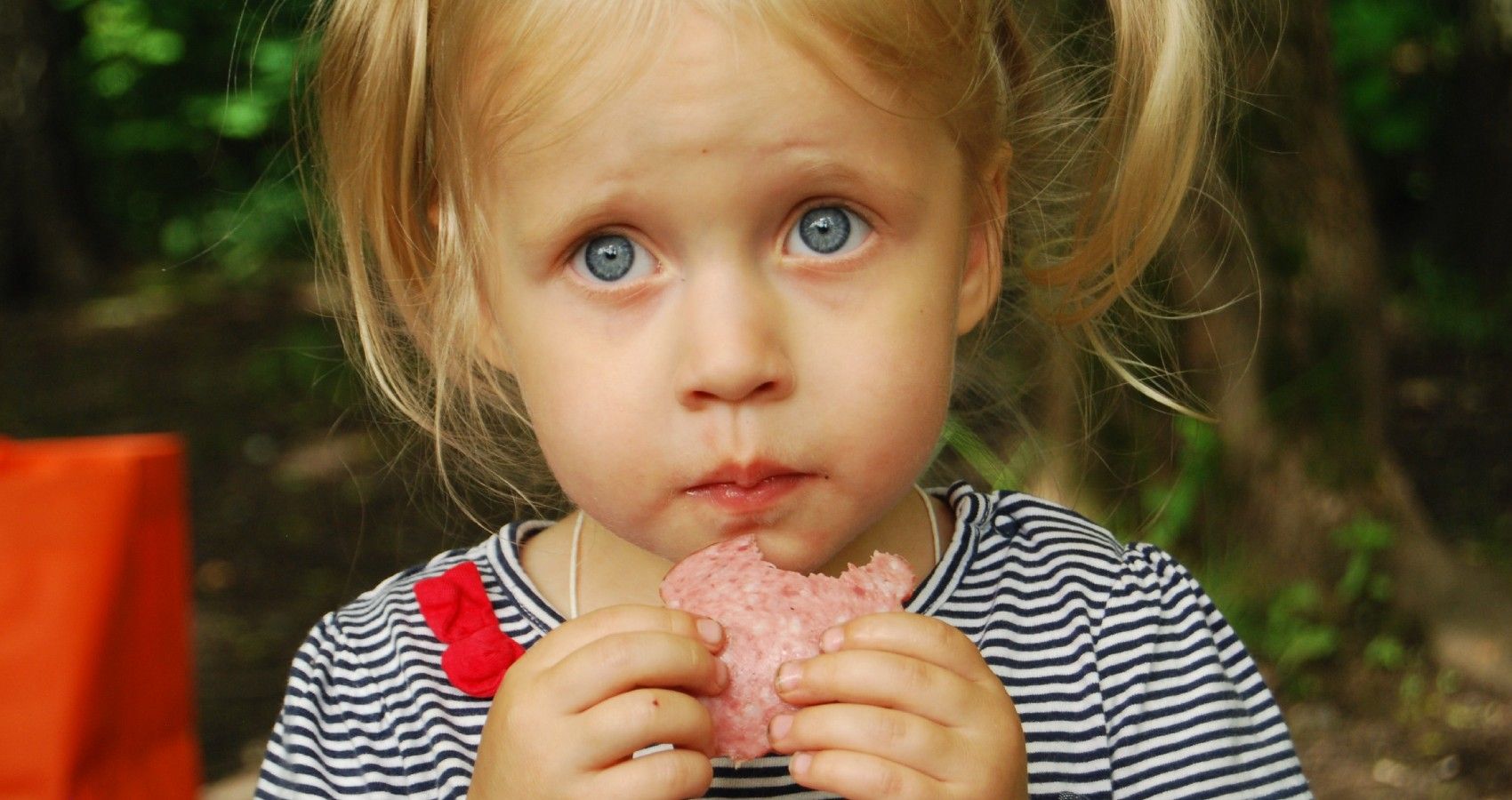 Eating Meat May Cause Inflammatory Immune Response In Kids’ Lung Cells