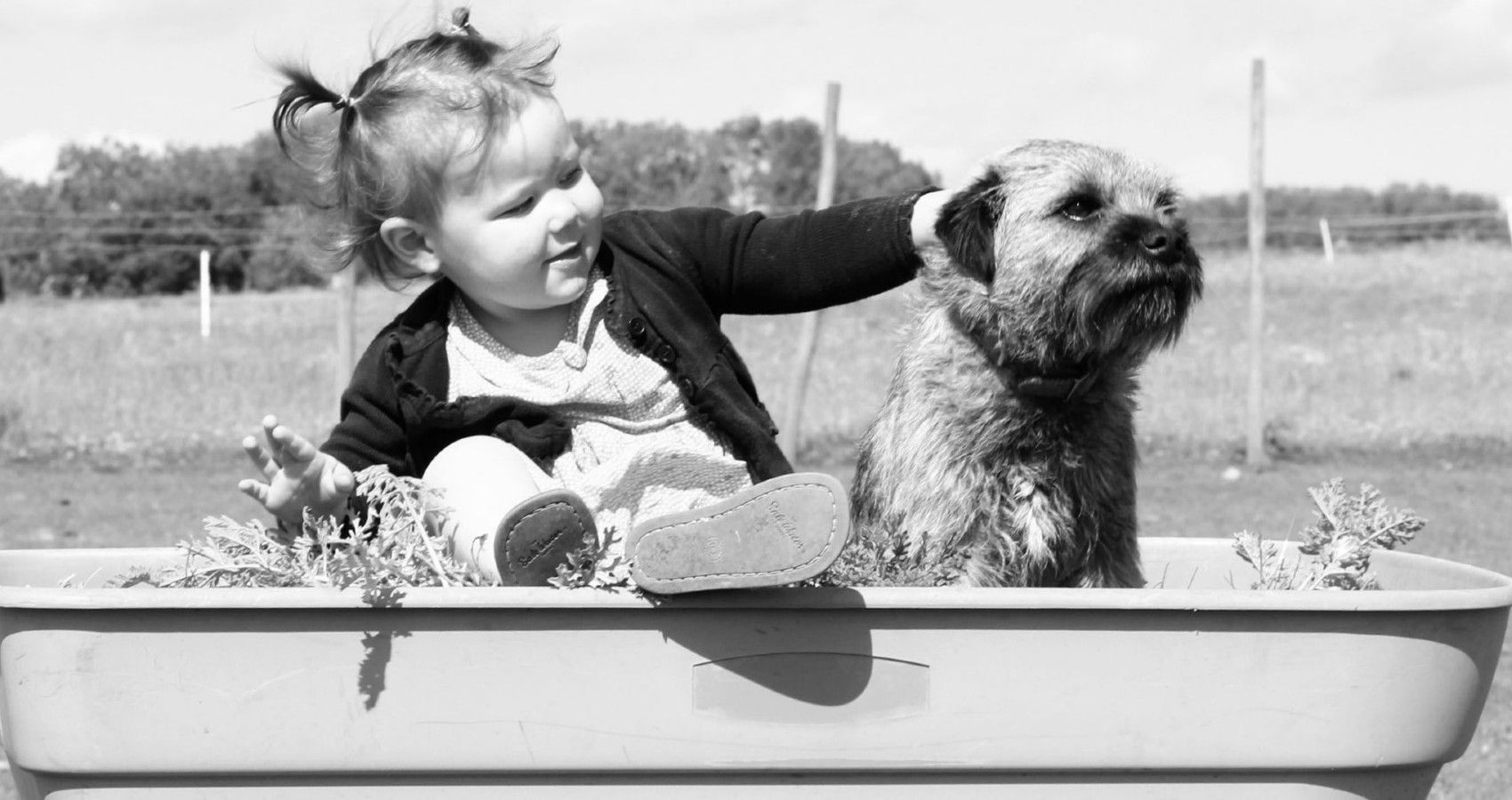 Therapy Dogs Can Help Children Learn Important Social Skills ...