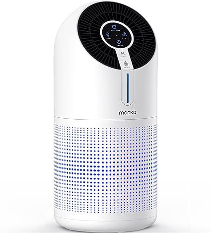 The Best Air Purifiers