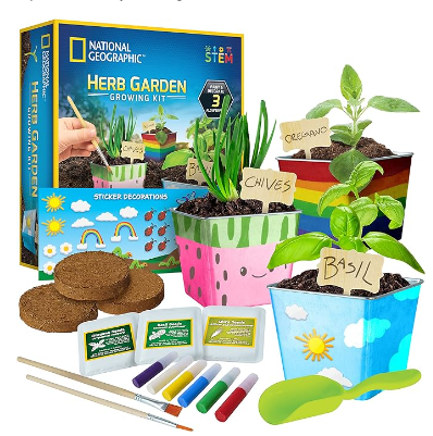 Best Gardening Kits For Kids