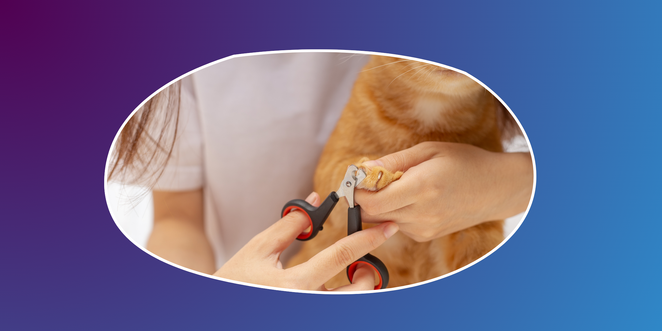 How to Trim Your Cat’s Nails Without Getting Scratched