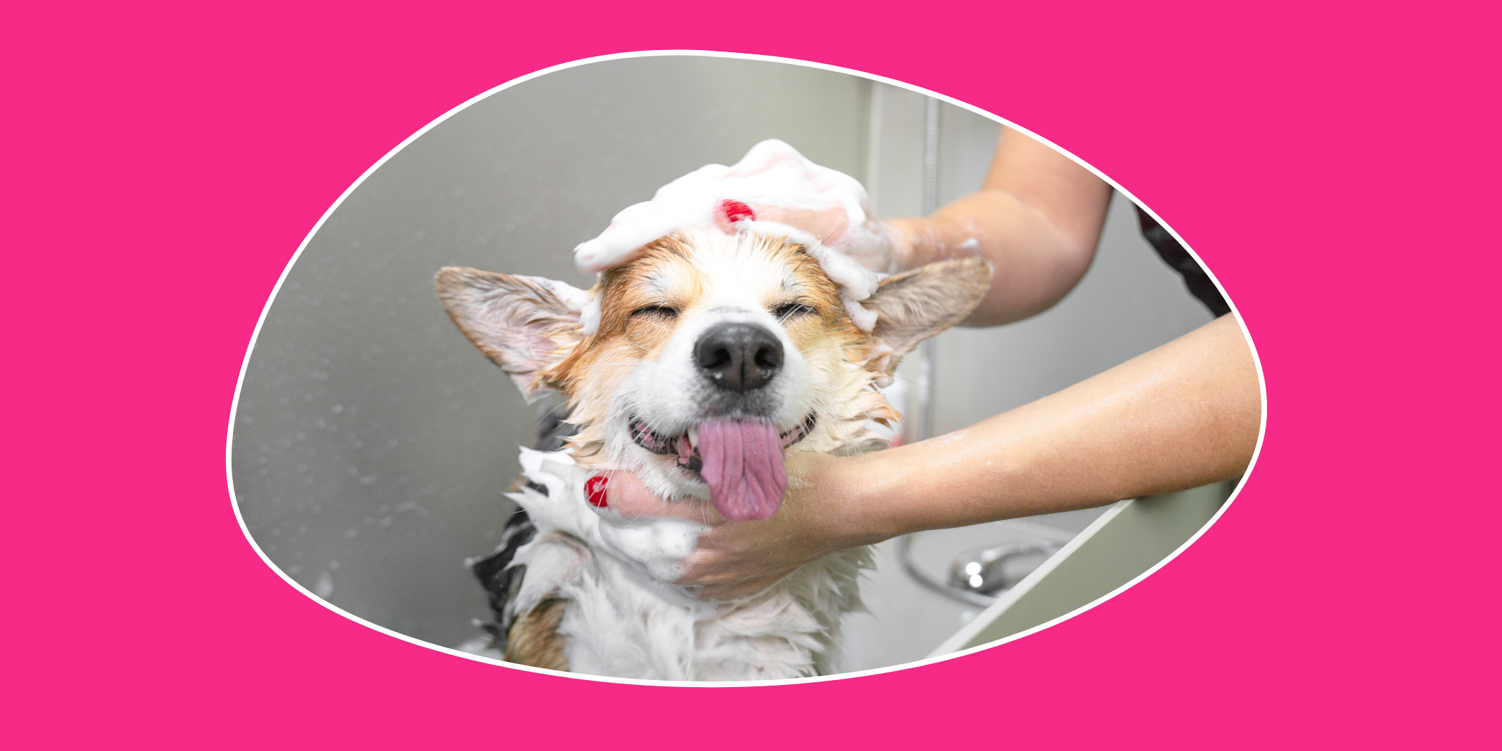 Unbelievably Amazing Facts About Mothers