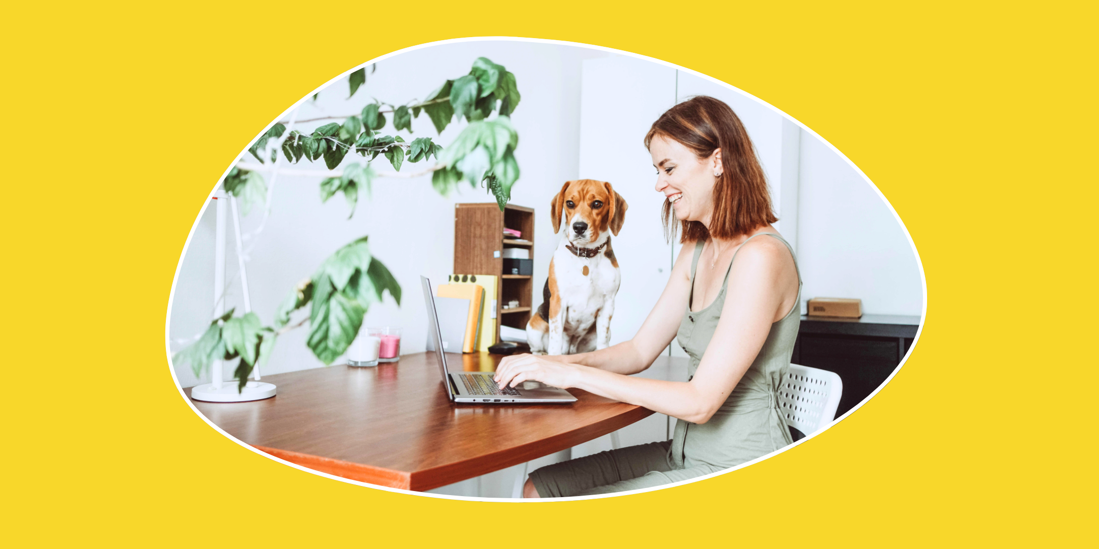 Keeping Your Dog Entertained While Working from Home